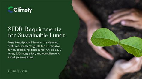 Sfdr Requirements Guide For Sustainable Funds Climefy