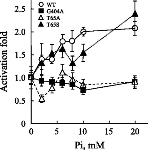 Effect Of Pi Concentration On Rubisco Activation Wild Type And Rubisco