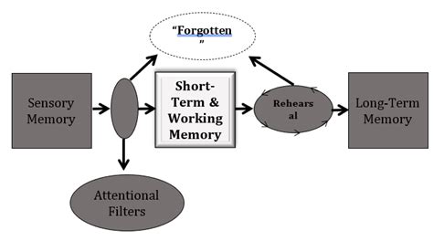 Lab 5 Mental Imagery What Can You See In Your Minds Eye