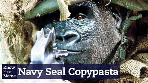 Navy Seals Origin At Victoria Jenkins Blog