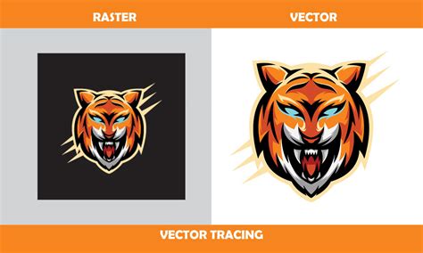 Vector Tracing Raster To Vector Behance