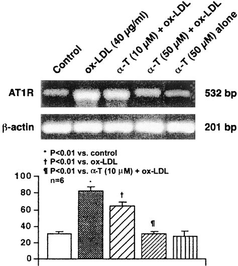 √無料でダウンロード！ L Dl Ml 表 103974 L Dl Ml 表