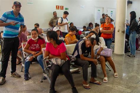 Hospitais Particulares De Sp Apresentam Queda De Internações Por Dengue