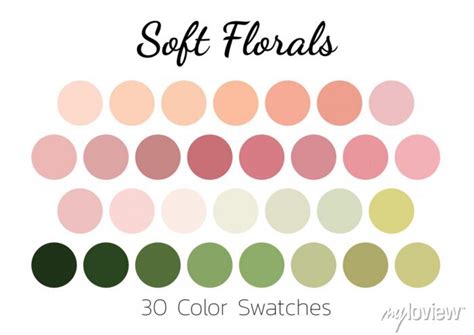 Collection Color Palette Swatch Color Palette Flat Vector