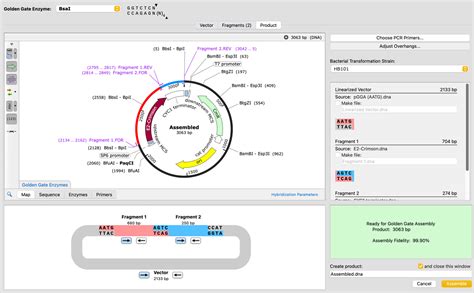 Release Notes Snapgene