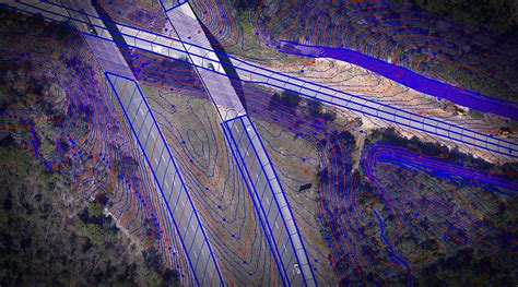 aerial lidar bearing tree surveying