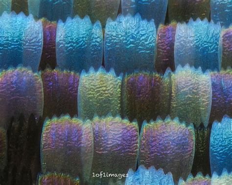 Carlos Abdiel Hernández Rivera