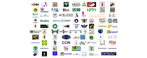 Biodiversity Knowledge Network