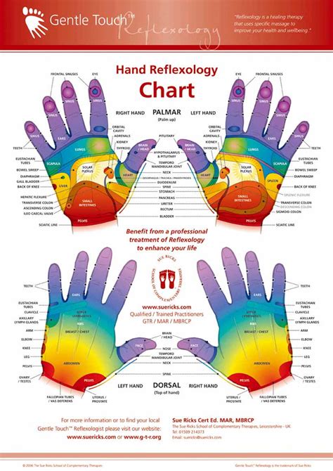 Hand Reflexology Websites Sources And Info