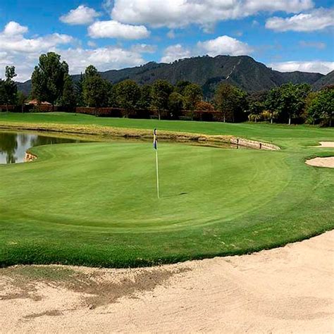 Grama Natural Canchas Y Campos Deportivos En Cesped Tapetes De
