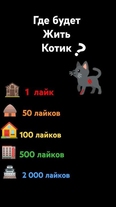 где будет жить котик?🐱 - YouTube