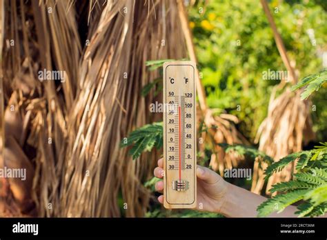 Hot Weather Thermometer In Hand In Front Of Dry Plants During Heatwave