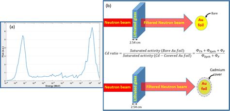 Mcnp Result Of The Neutron Energy Spectrum Of The Beam At The Beam Exit Download Scientific