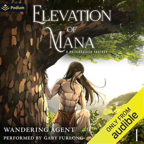 Elevation Of Mana A Progression Fantasy Elevation Of Mana Book 1