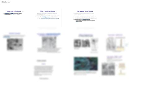 Solution Anat Electron Microscopy Lecture Exam Compilation Notes