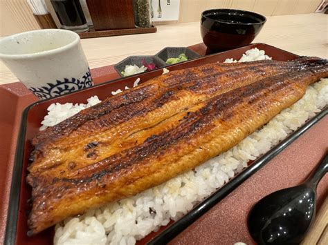 超巨大ウナギのうな重を食べてみた結果『清流うなぎ 月島』 連載jp