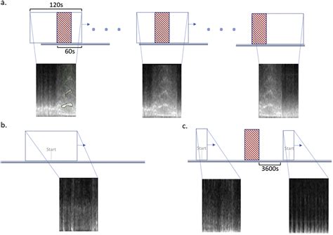 Automated Spectrographic Seizure Detection Using Convolutional Neural