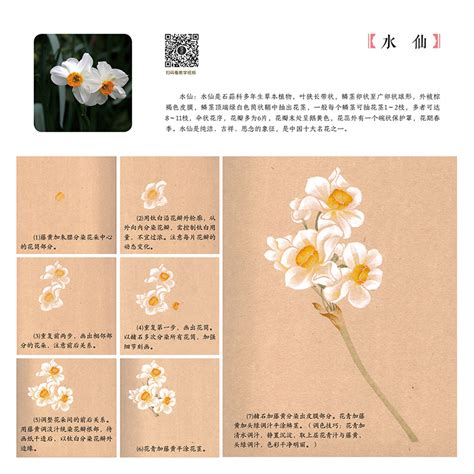 【附教学视频】没骨花卉日课中国画传统技法教程没骨花鸟画教程没骨画册白描底稿教学恽寿平没骨花鸟画册美术自学国画临摹书籍虎窝淘
