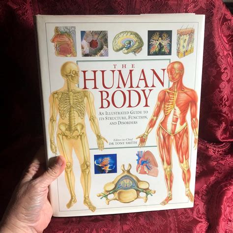 The Human Body An Illustrated Guide To Its Structure Function And