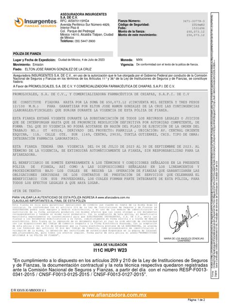 Formato Fianza De Cumplimiento Descargar Gratis Pdf Póliza De