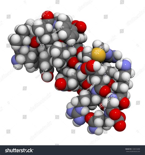 Motilin Stomach Stimulating Hormone Molecule Chemical Stock