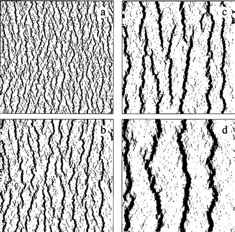 Picture of the fracture patterns from simulations using a 200 ϫ 200 Download Scientific Diagram