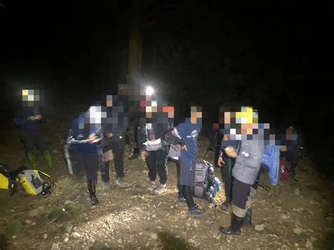 攀阿里山水漾森林！逢甲大學登山社遭虎頭蜂攻擊 10人受傷送醫 社會萬象 要聞 Nownews今日新聞