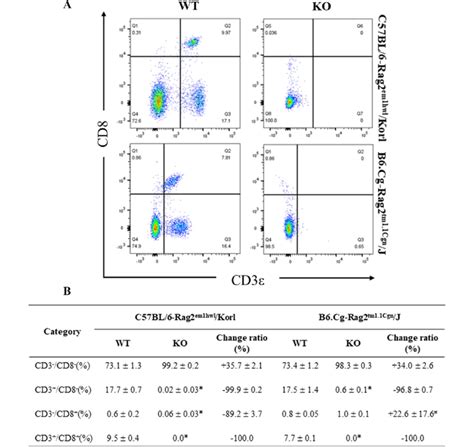 Facs Analysis Of T C Cells In The Spleen Of Rag2korl And Rag2j Ko