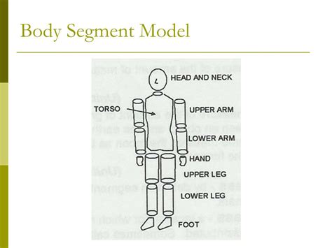 Ppt Anthropometry Powerpoint Presentation Free Download Id2747591