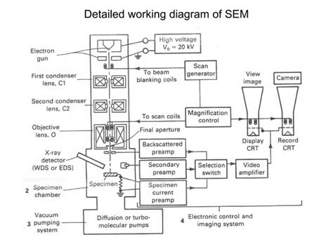 Lecture 3 Conventional Microscope Pdf Geology Science