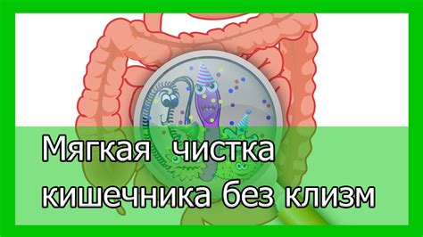 Мягкая чистка кишечника без клизм - YouTube