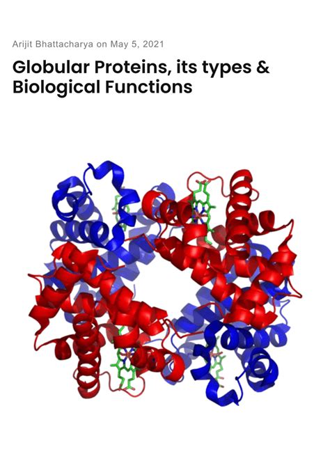 Pdf Globular Proteins Its Types And Biological Functions