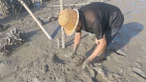 泰叔去海蛎区收螺筐，选大个的肥货带回去，这里面还有一个蛋呢 Youtube