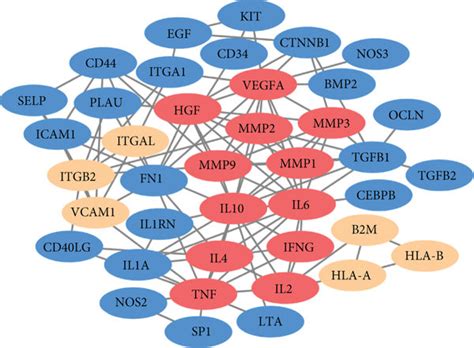 A The Proteinprotein Interaction PPI Network Of The Target TMGs