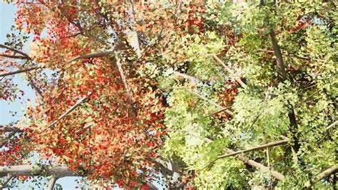 Quercus Tree Pack Flippednormals