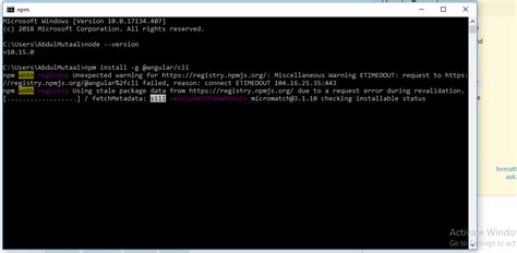 Javascript Angular Cli Error Super User