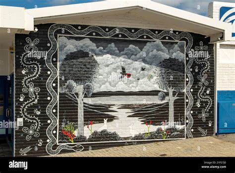 Street Art By Tom Dimer And Callum Woods Albany Western Australia