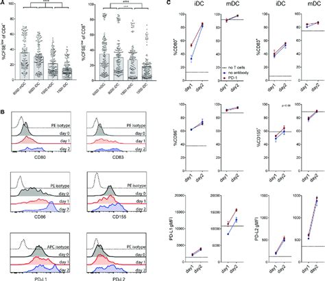 Effect Of Dendritic Cell Dc Number And Maturation Status On T Cell Download Scientific