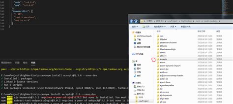 npm install后发生了什么 Tiboo 博客园