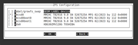 No Disks Found When Installing Pfsense Netgate Forum
