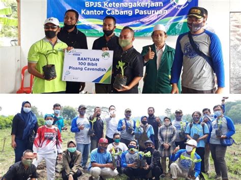 Karyawan BPJS Ketenagakerjaan Pasuruan Tanam 100 Pohon Pisang Bersama