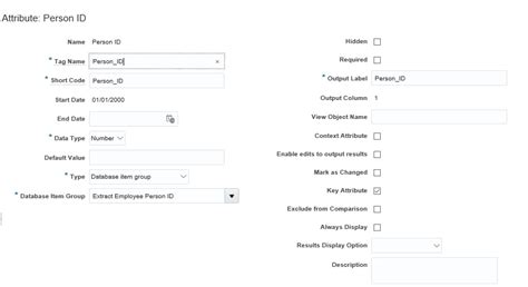 Oracle Masterminds Fusion Hcm Steps To Create A Basic Hcm Extract