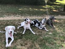 Our Printer Ran Out Of Ink Meme Guy