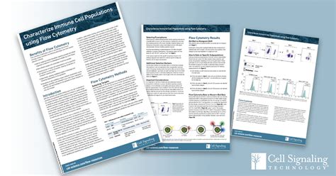Need Cell Type And Function Use Flow Cytometry