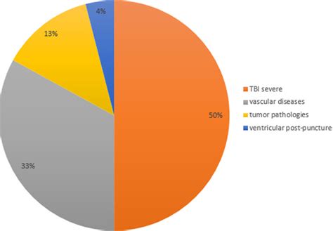 Decompressive Craniectomy Indications And Results Of 24 Cases At The