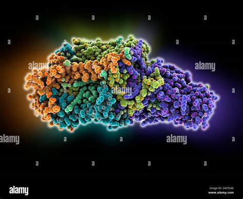 Purple Bacterium Photosynthesis Centre Molecular Model Purple