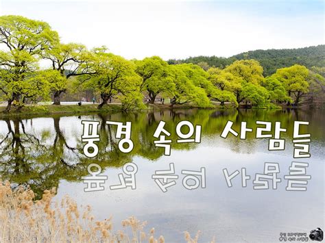 부산 도보여행풍경 속의 사람들 Band