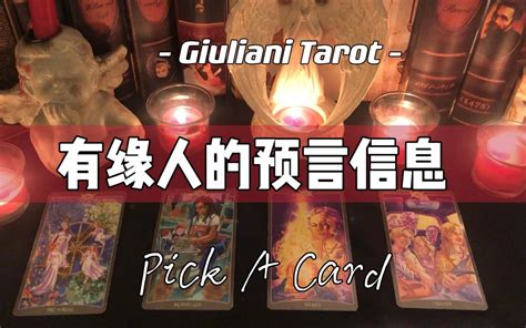 塔罗有缘人才能看到的信息 Pick A Card 哔哩哔哩