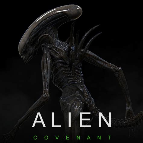 Alien Covenant Colin Shulver On Artstation At Artstation