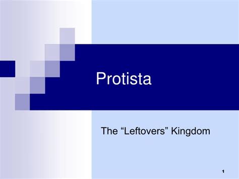 Ppt Protista Powerpoint Presentation Free Download Id5454961